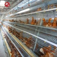 China 2024 Galvanized A-Type Laying Hens H-Type Battery Cage And Automatic Breeding System for sale