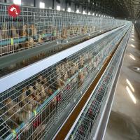 China Automatic Broiler Chicken Cage Farm Equipment Poultry 3 Tiers for sale