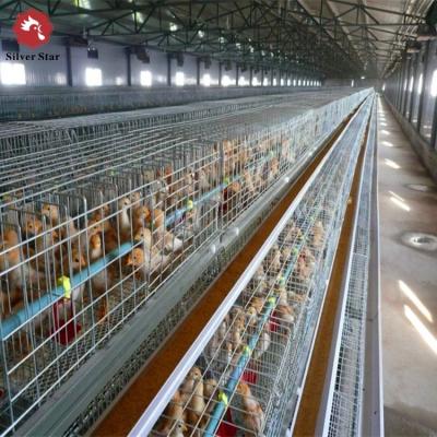 China Farm Poultry Broiler Chicken Cage Battery A Type 4 Tier Hot Galvanized for sale