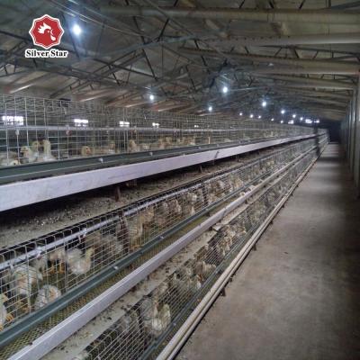 China 4 Tier Battery Baby Chicken Cages Layer A Type Pullet Hot Galvanized for sale