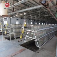 China Broiler Pullet Breeder Chicken Cage Galvanized Mesh A Type Layer Egg Hens for sale