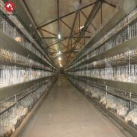 China H Type Chicken Feeder Cage Animal Laying Chicken Cages For Broilers And Chicks for sale
