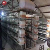 China Kenya H Type 3 / 4 Layers Chicken Layer Cages Poultry Farm  Breeding System for sale