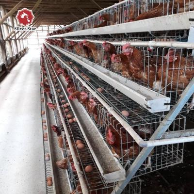 China A Type Layer Battery Chicken Cages Automatic Poultry Zinc Cocating 275g / M2 for sale