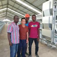 China Hot Dip Galvanized Steel H Type Battery Chicken Cage 384 Birds Layer Coop 8 Tier for sale