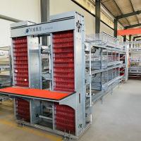 China 4 Tier H Type Automatic Chicken Layer Battery Cage 72 Birds Q235 Hot Dipped Galvanized Poultry Farm for sale