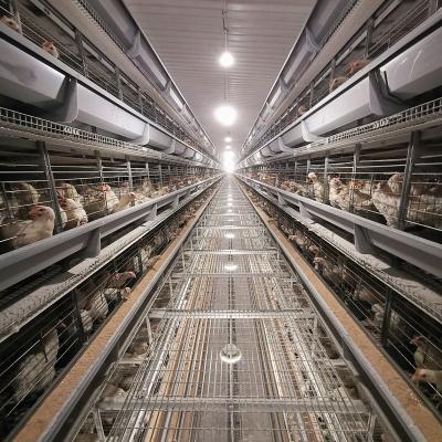 China Kenya H Type 3 / 4 Layers Chicken Layer Cages Poultry Farm  Breeding System for sale