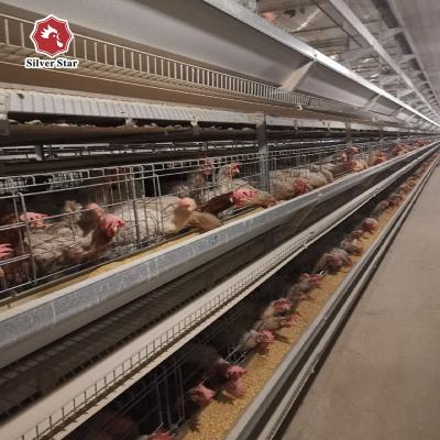 China Battery Layer Eggs Chicken Cages H Type Hens Cold Dipped 7Tiers for sale