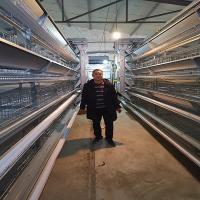 China Battery Layer Eggs Chicken Cages H Type Hens Cold Dipped 7Tiers for sale