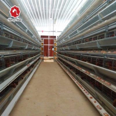 China Galvanized Layer Chicken Cages Automatic H Type Poultry For Farming for sale