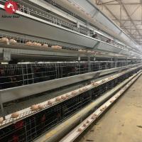 China H Type Quail Layer Chicken Cage Chicken Egg 10 Tiers for sale
