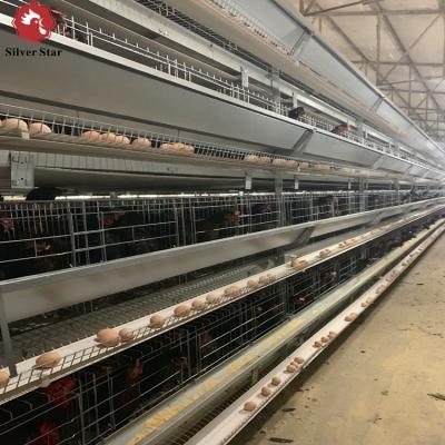 China H Type Quail Layer Chicken Cage Chicken Egg 10 Tiers for sale