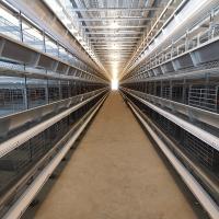 China H Type Layer Chicken Cage 2mm Q235 Hot-Dipped Galvanized 8 Tiers 144 Birds Poultry Farm Equipment for sale