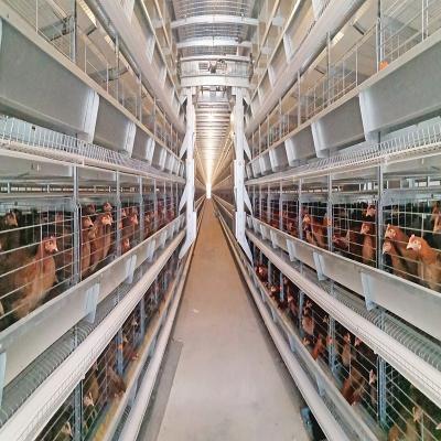 China Poultry Farm Layer Hen Chicken Cages Coop Fully Automatic H Type Battery Egg 6Tiers for sale