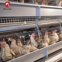 China H Type Poultry Battery Chicken Cages Automatic Egg Layer Farm Laying Hens 2mm for sale