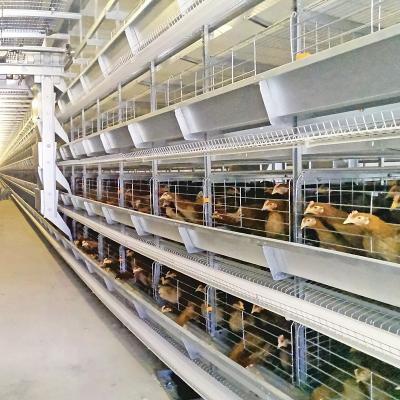China Philippines Galvanized Egg Layer Chicken Cage H Type 68KG ISO9001 for sale