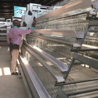 China A Type Layer Egg Laying Chicken Cage 160 Birds With Automatic Feeding System for sale