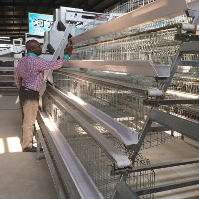 China A Type Stainless Steel Chicken Cage Hot Galvanized Or Cold Galvanized for sale