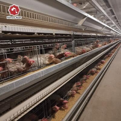 China Poultry Layer Chicken Cage H Type Full Automatic Q235A 1.0mm for sale