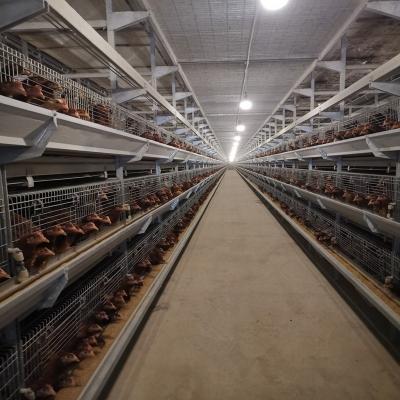 China H Type Layer Chicken Cage 128-160 Birds 9 Tiers Hot Dipped Galvanized for sale