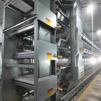 China Fully Automatic Egg Layer Chicken Cages H Type 50000 Chickens Poultry Farm 10 Tiers for sale