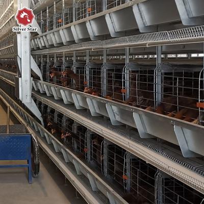 China Hen Egg Layer Battery H Type Chicken Cages System Completely Automatic Q235A 8tiers for sale
