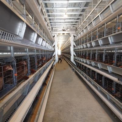 China H Type Galvanized Layer Battery Chicken Cages For 10000 Birds Poultry In Ethiopia for sale