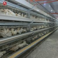 China Welded Wire Egg Layer Chicken Cages Q235A H Type Hot Dipped Galvanized for sale