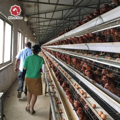 China Automatic A Type Battery Layer Chicken Cage 3-4 Tiers Hot Dipped Galvanized 275g for sale