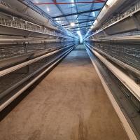 China Hot Dipped Galvanized Q235 3 Layers 120 Birds Battery Chicken Cage for Nigeria Poultry Farm for sale