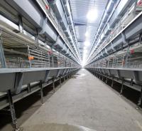 China H Type Battery Broiler Chicken Cage Automatic For Poultry Farm for sale