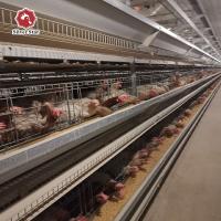 China Welded Wire Egg Layer Chicken Cages Q235A H Type Hot Dipped Galvanized for sale