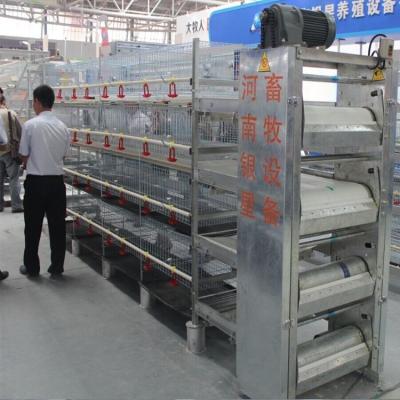 China Durable Chicks Brooder Cage Multi Tiers H Type Small Fully Automatic for sale