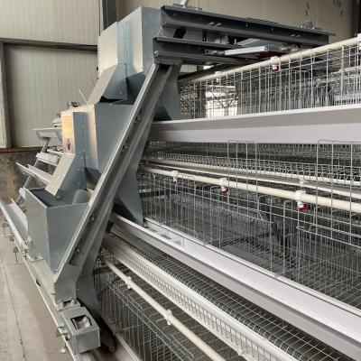 China Automatic Egg Chicken Layer Battery Cages For Ghana Farm 43 * 41 * 41cm for sale