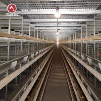 China Galvanized A-Type Laying Hens H-Type Battery Cage And Automatic Breeding System for sale