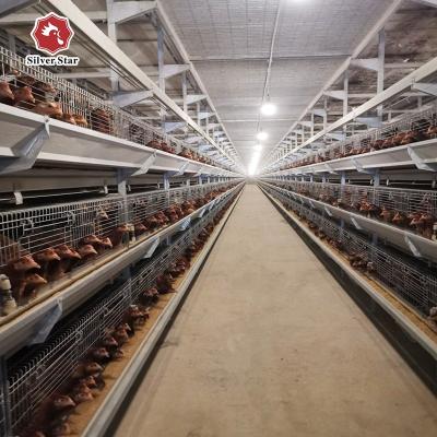 China Automatic Egg Layer Chicken Farm Hens Cage UAE Poultry Equipment H Type for sale