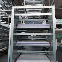 China H Type Poultry Battery Cages Automatic Egg Layer Chicken Farm Laying Hens for sale