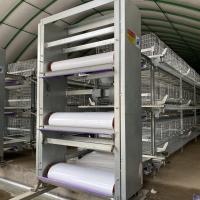 China High Brood Survival Rate Layer Chicken Cage Multilayer Partition Structure for sale