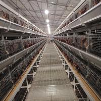 China High Brood Survival Rate Layer Chicken Cage Multilayer Partition Structure for sale