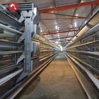 China Poultry Farming Chicken Layer Cages Fully Automatic Battery System H Type Egg for sale