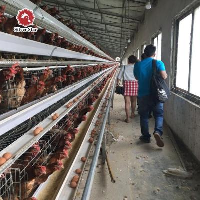 China H Type Layer Chicken Cage Equipment 4 Tier 5 Tier Farm for sale