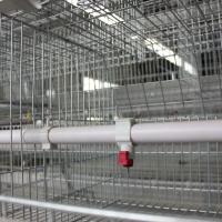 China 3-9 Floor Farm Battery Chicken Cage With Automatic System High Density for sale