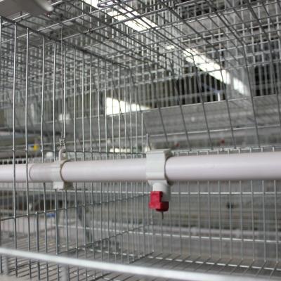 China Hot Galvanized H Type Automatic Broiler Chicken Cage 3 Tiers 4 Tiers 60 to 208 Birds Capacity for sale