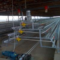 China H Type Broiler Chicken Cage 85x62.5x50cm Hot Dip Galvanized Anti Corrosion 3-8 Tiers for sale
