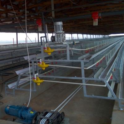 China A Type 5 Tier Broiler Chicken Cage 183x236x190 cm Poultry Equipment for Nigeria Farm for sale