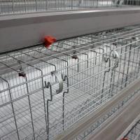 China A Type Broiler Chicken Cage System Automatic Chick Breeding Cages 144 Birds for sale
