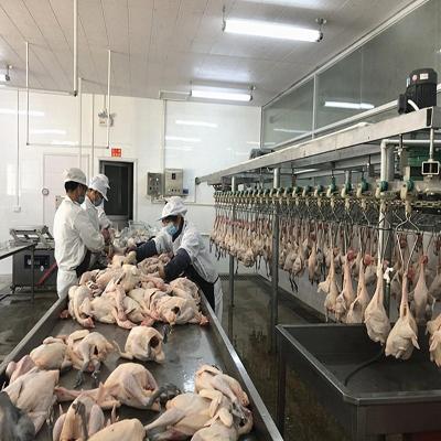 China Halal Chicken Abattoir Slaughter Line Equipment 500BPH-10000BPH with SS304 Construction for sale