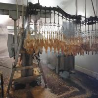China 500BPH Automatic Poultry Slaughtering Equipment - 304 Stainless Steel Chicken Processing Line with Stunner and Scalder for sale