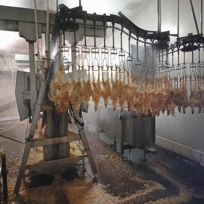 China 500BPH Automatic Poultry Slaughtering Equipment - 304 Stainless Steel Chicken Processing Line with Stunner and Scalder for sale