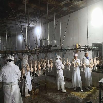 China 3000 Birds Per Hour Poultry Slaughter Line with 98% Feather Removal Rate and 80-300kW Power Capacity for sale